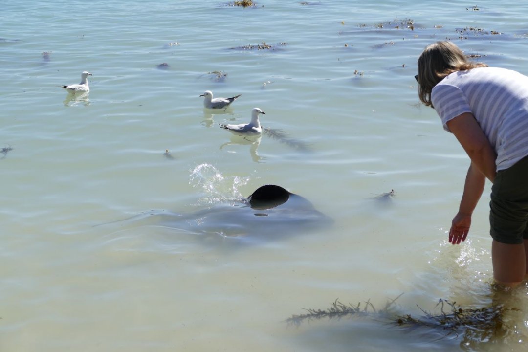 Berrara Beach - Why it's a Perfect Weekend Getaway