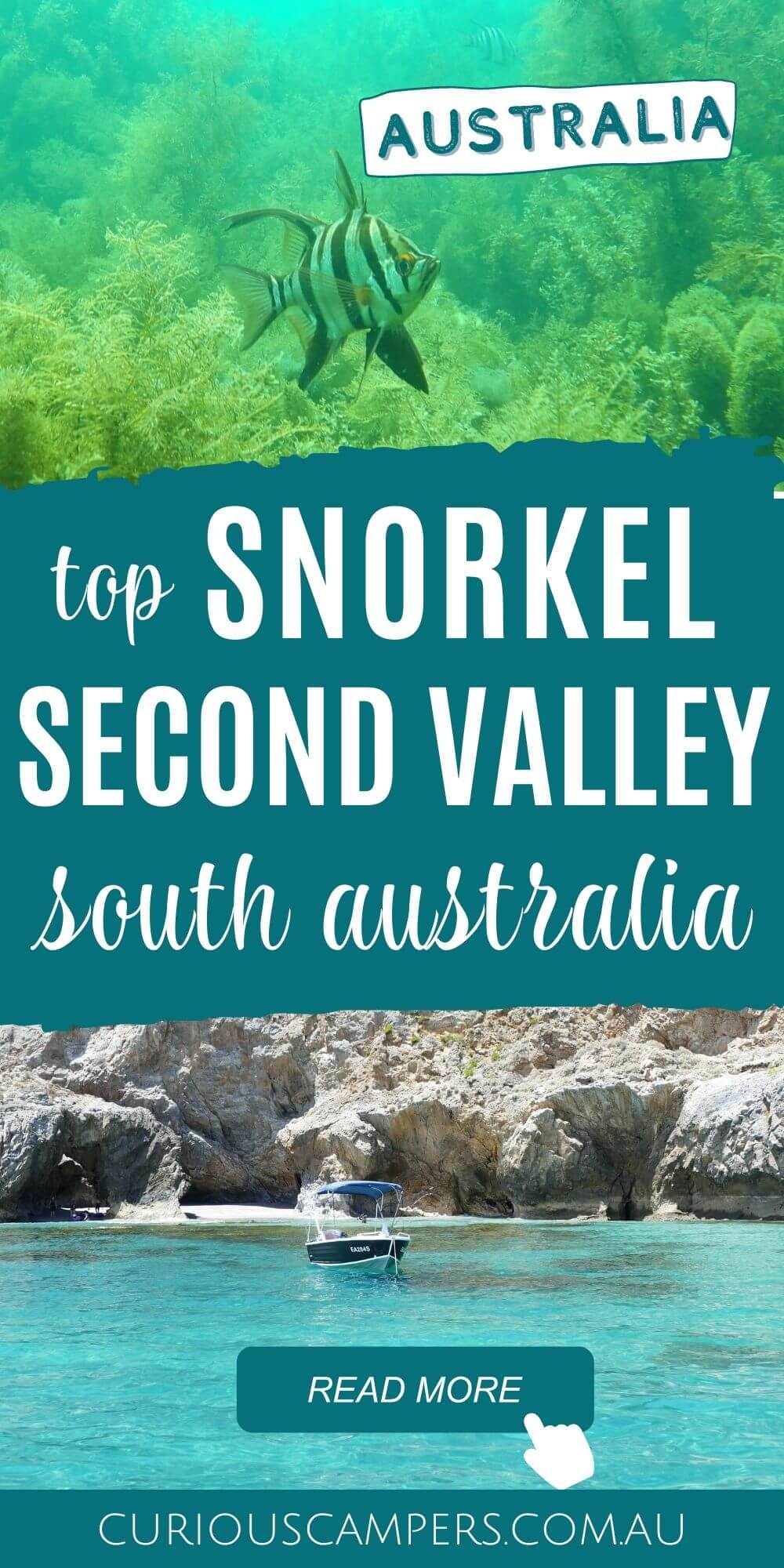 Snorkel at Second Valley