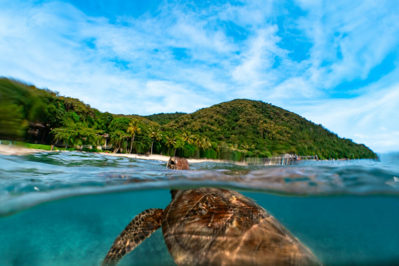 Where to Snorkel on Fitzroy Island - Complete Guide